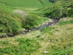 The Dartmoor Commons – Dartmoor Commons Owners Association