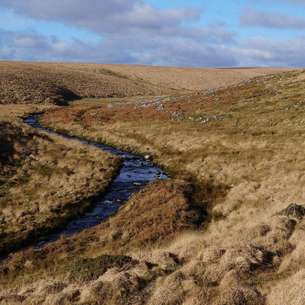 The Dartmoor Commons – Dartmoor Commons Owners Association