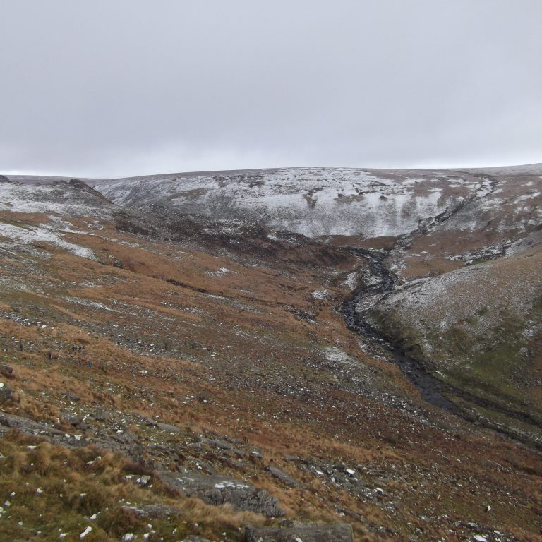 The Dartmoor Commons – Dartmoor Commons Owners Association