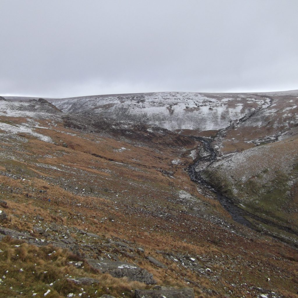 The Dartmoor Commons – Dartmoor Commons Owners Association