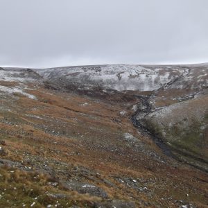 The Dartmoor Commons – Dartmoor Commons Owners Association